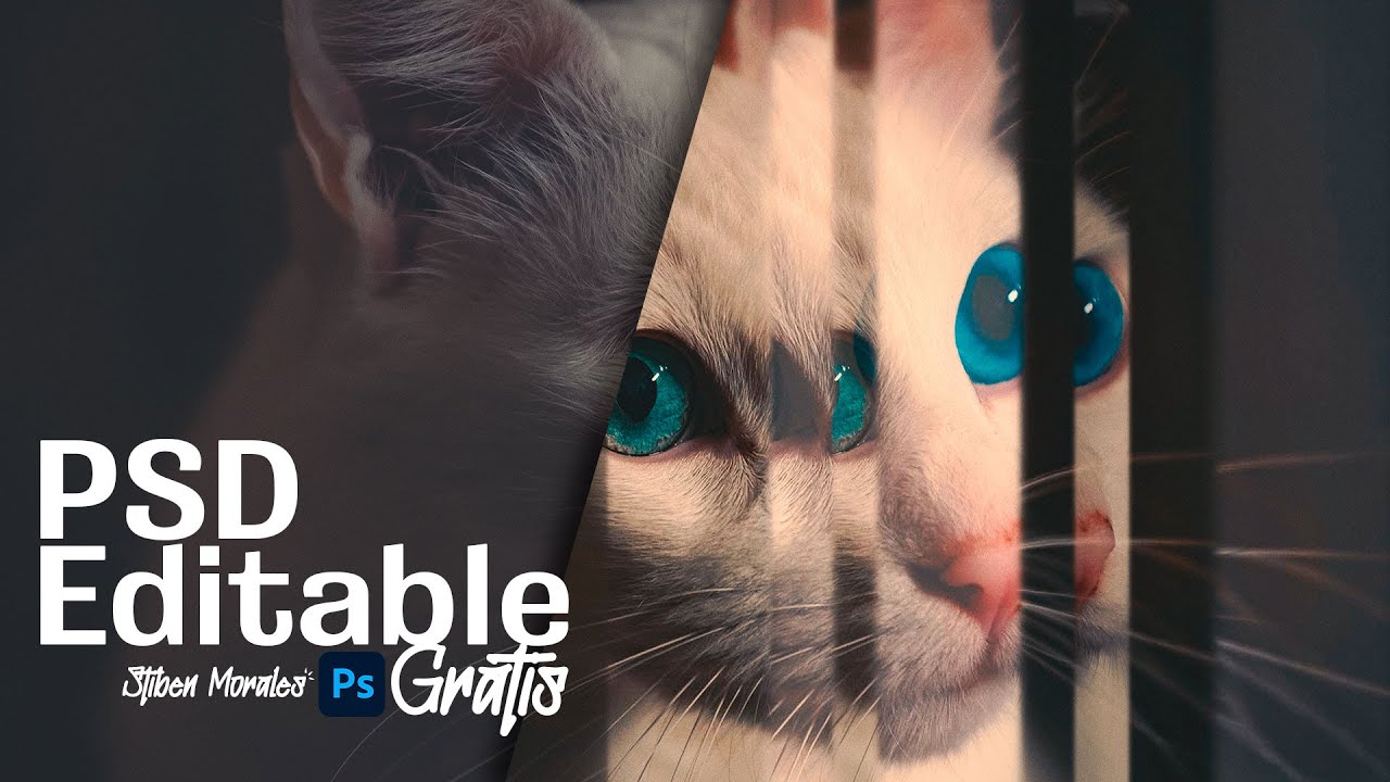 EDITABLE PANELES VERTICALES | DESCARGA PSD GRATIS | Tutorial Photoshop ...