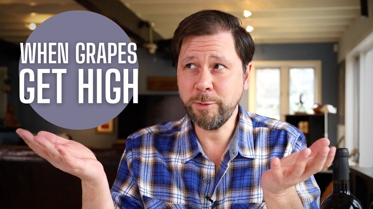 Wine and Elevation: What Happens When Grapes Get High - YouTube