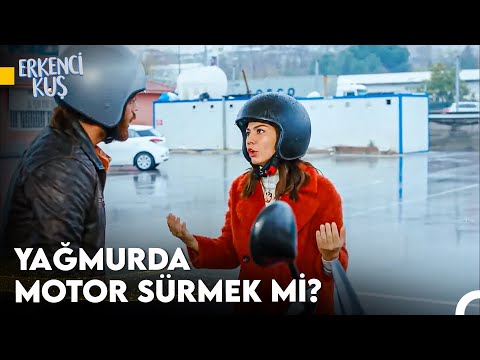 Sanem'in Aşkı Bulma Yolculuğu #73 - Erkenci Kuş