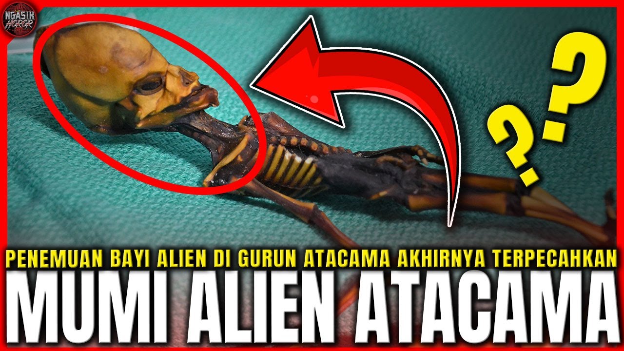 PENEMUAN MUMI BAYI ALIEN ASLI | MISTERI MUMI ALIEN ATACAMA - YouTube