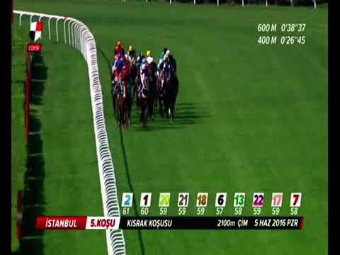 2016 KISRAK KOŞUSU (G1) TENERİFE SONG / MUSTAFA ÇİÇEK - 2.100M ÇİM