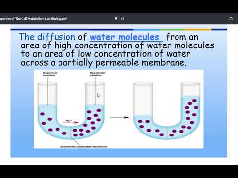 Physical properties of the cell - YouTube