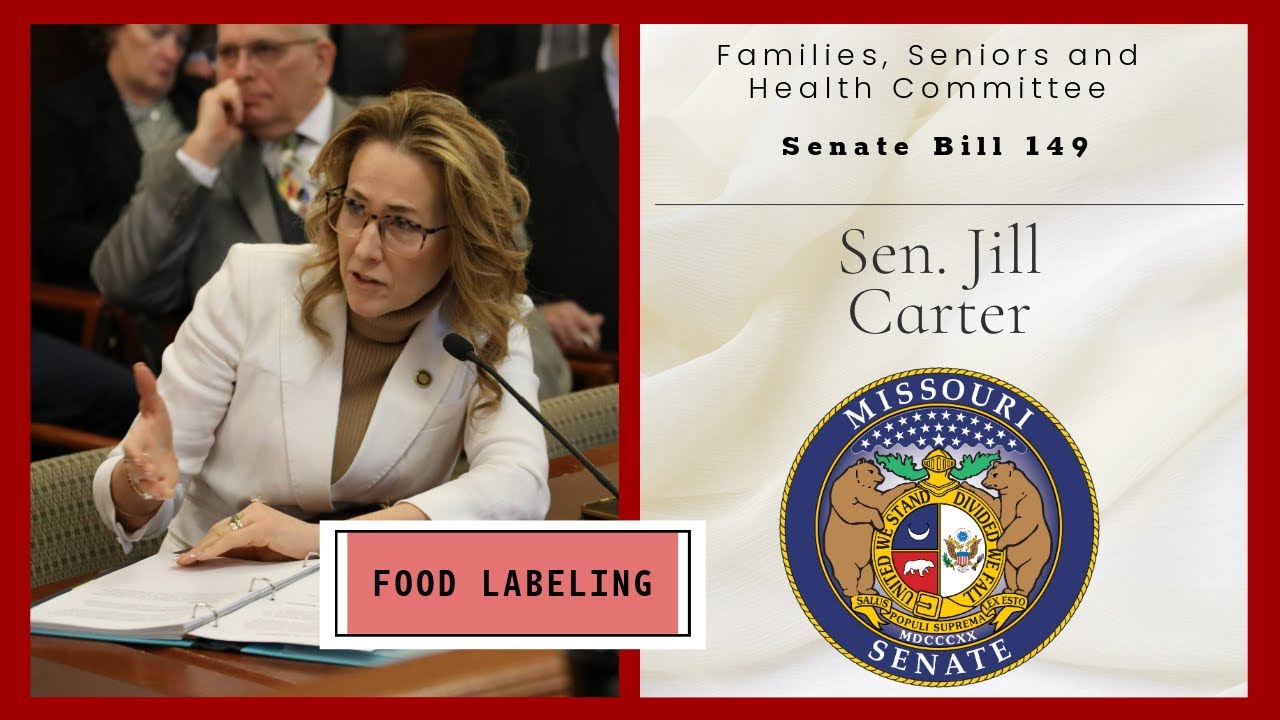 Missouri Sen. Jill Carter Presents SB 149 in Committee - YouTube
