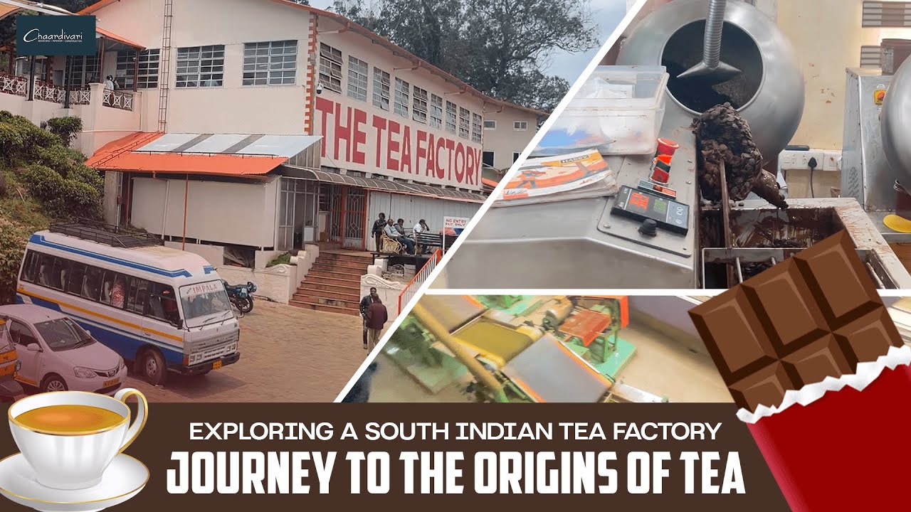 Ooty Tea Factory Exploring and Uncovering the Rich Heritage of India's ...