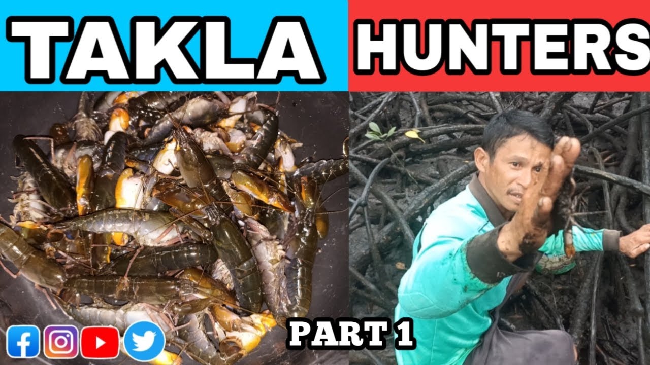 PISTOL SHRIMP | TAKLA HUNTERS IN POLILLO,QUEZON - YouTube