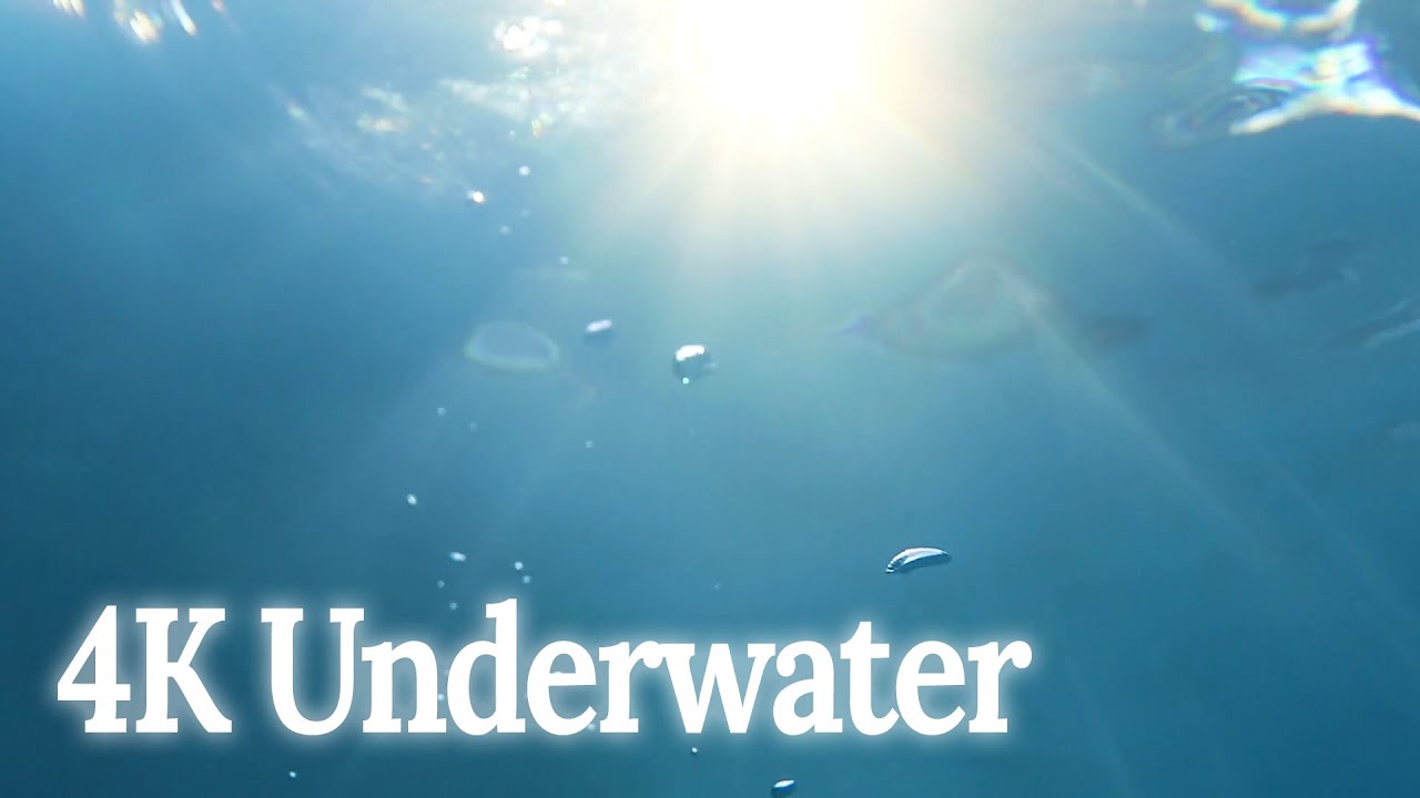Free Underwater Footage - 4K HD - No Copyright - YouTube