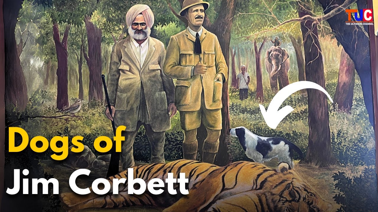 Dogs of Jim Corbett | Real Story of His Dogs - YouTube
