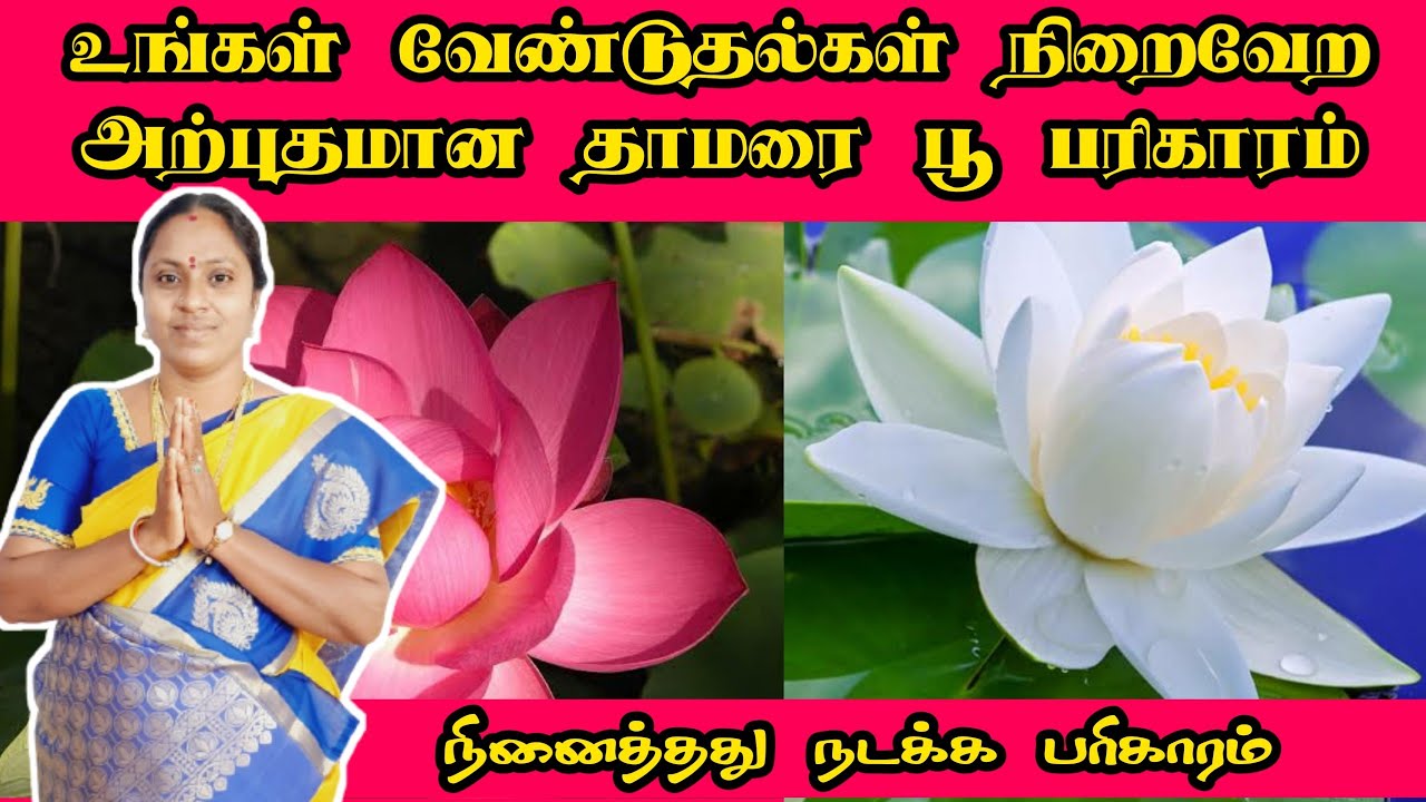 நினைத்ததை நடத்திக் கொடுக்கும் தாமரை மலர் பரிகாரம் | Ninaithathu Nadakka ...