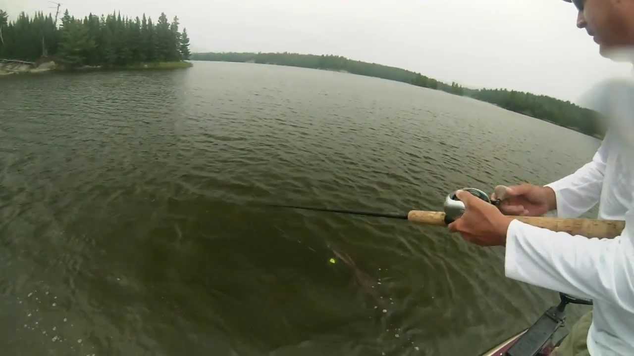 50.5 Inch Bucktail Musky - YouTube