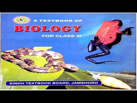 Nutrition || Lecture 2 || Types of Animals On The Basis Of Nutrition ...