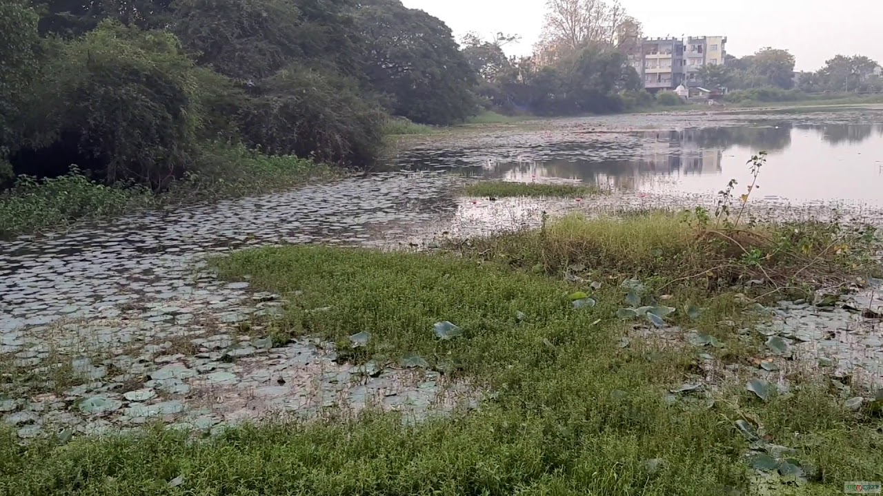 Amalsad Sunrise Gujarat - YouTube