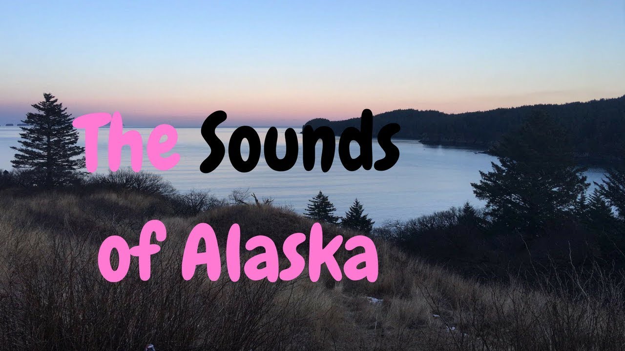 Sounds of Alaska | Compilation of Alaskan Nature Noises - YouTube