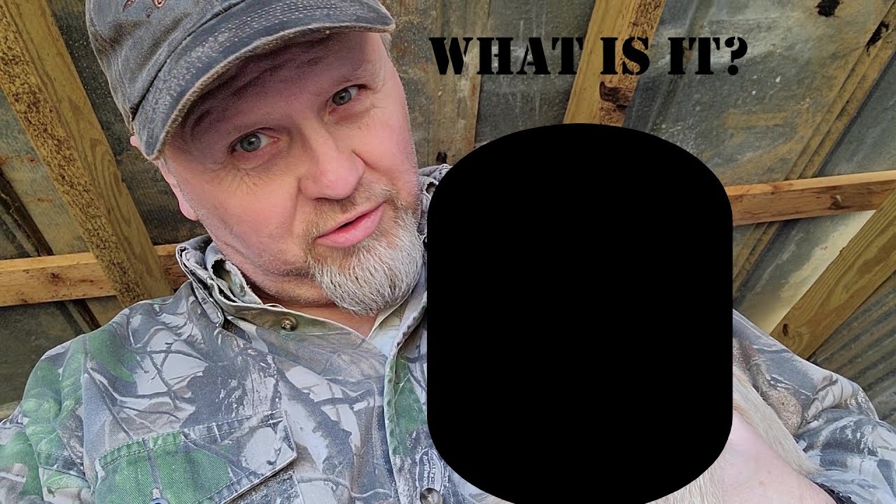 We found something. What was it? - YouTube