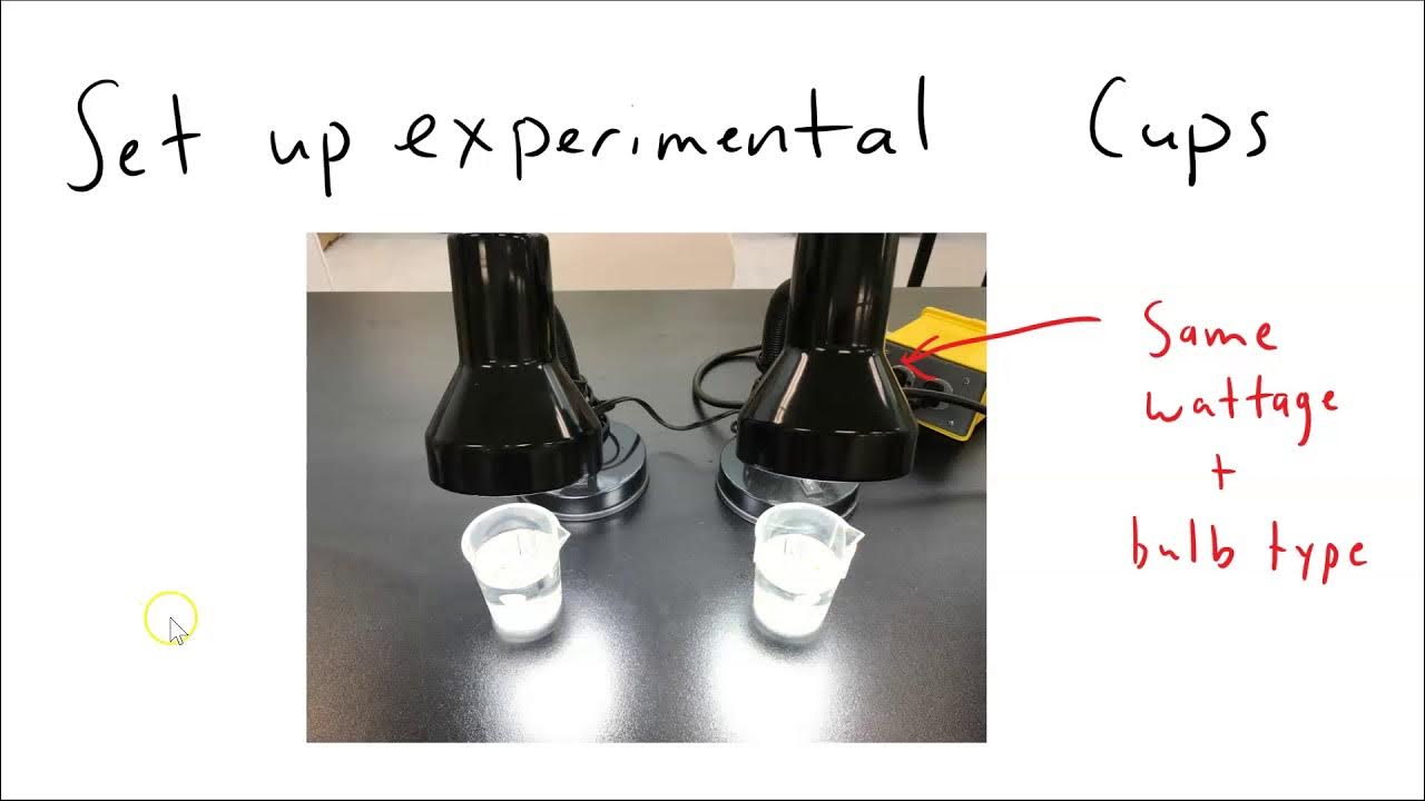 AP Biology Investigation 5: Photosynthesis (Virtual Lab) - YouTube