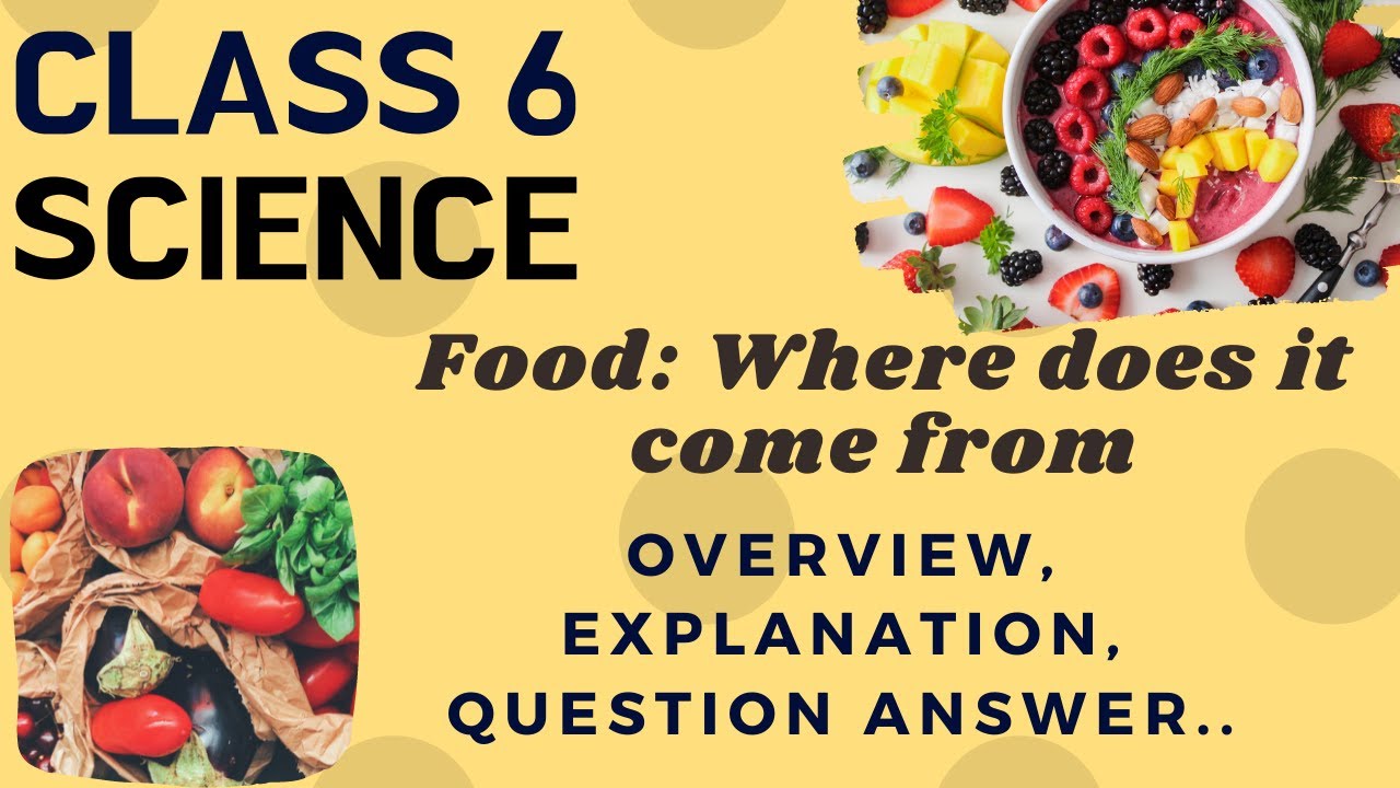 Class 6 Science Food Where Does It Come From Full Explanation Class 6 Science Food Where Does It Come From Full Explanation