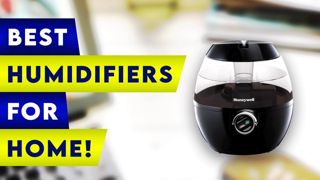 Top 3 Best Humidifiers For Home! 🔥 - YouTube