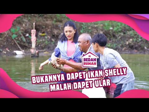 PANIK! Bukannya Dapet Ikan Shelly Malah Dapet Ular! - BEDAH RUMAH LAGI 408 part 1