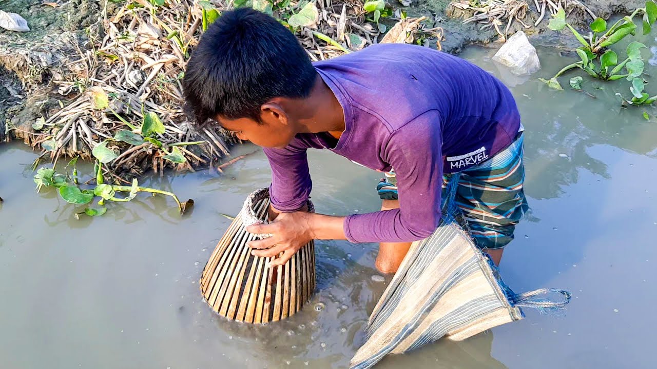 Primitive Fishing Technique | Traditional Fish Hunting With Polo | Fish ...