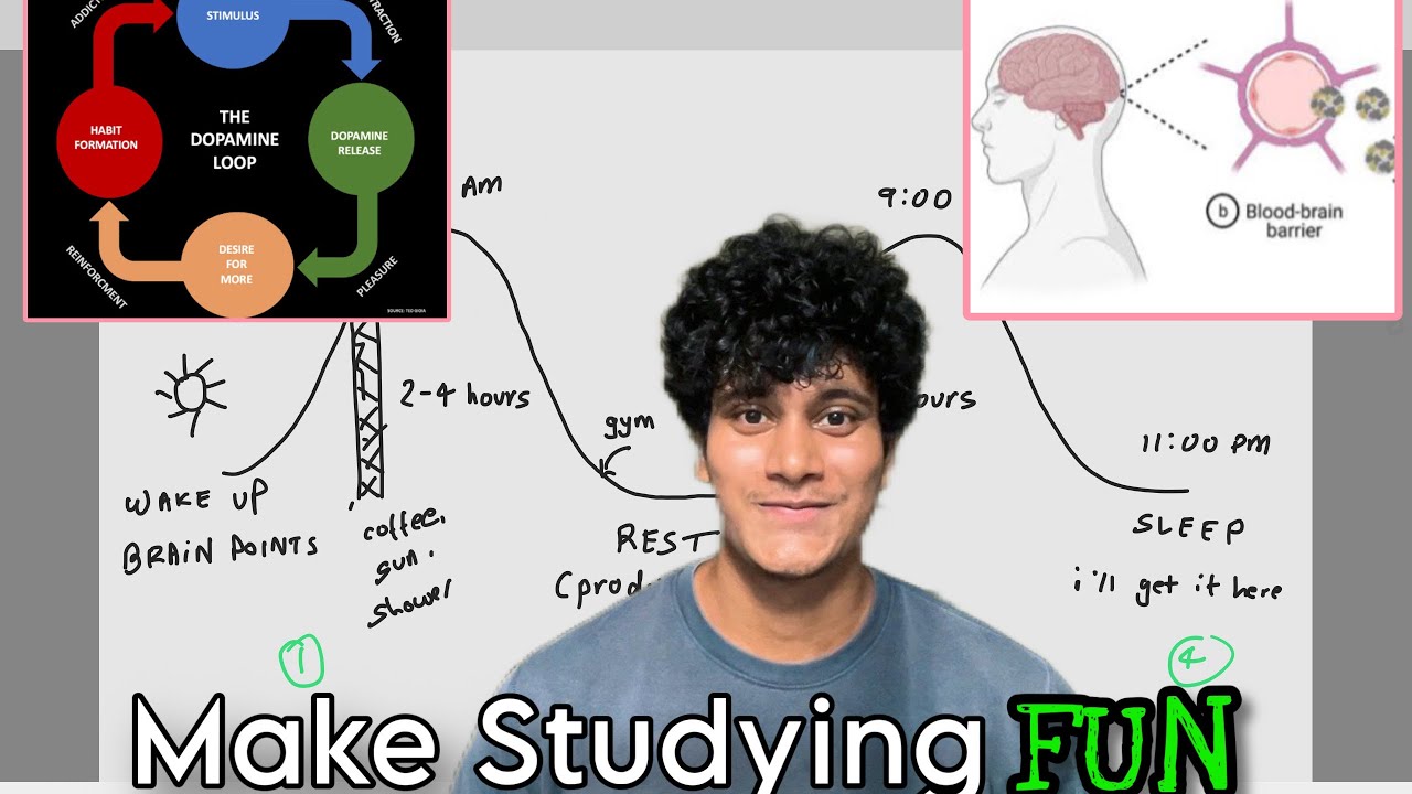 How To Make Studying So FUN, It Almost Feels Like Winning In A Video ...