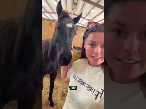 Why my yearling looks tall & skinny right now—growth spurts are wild ...