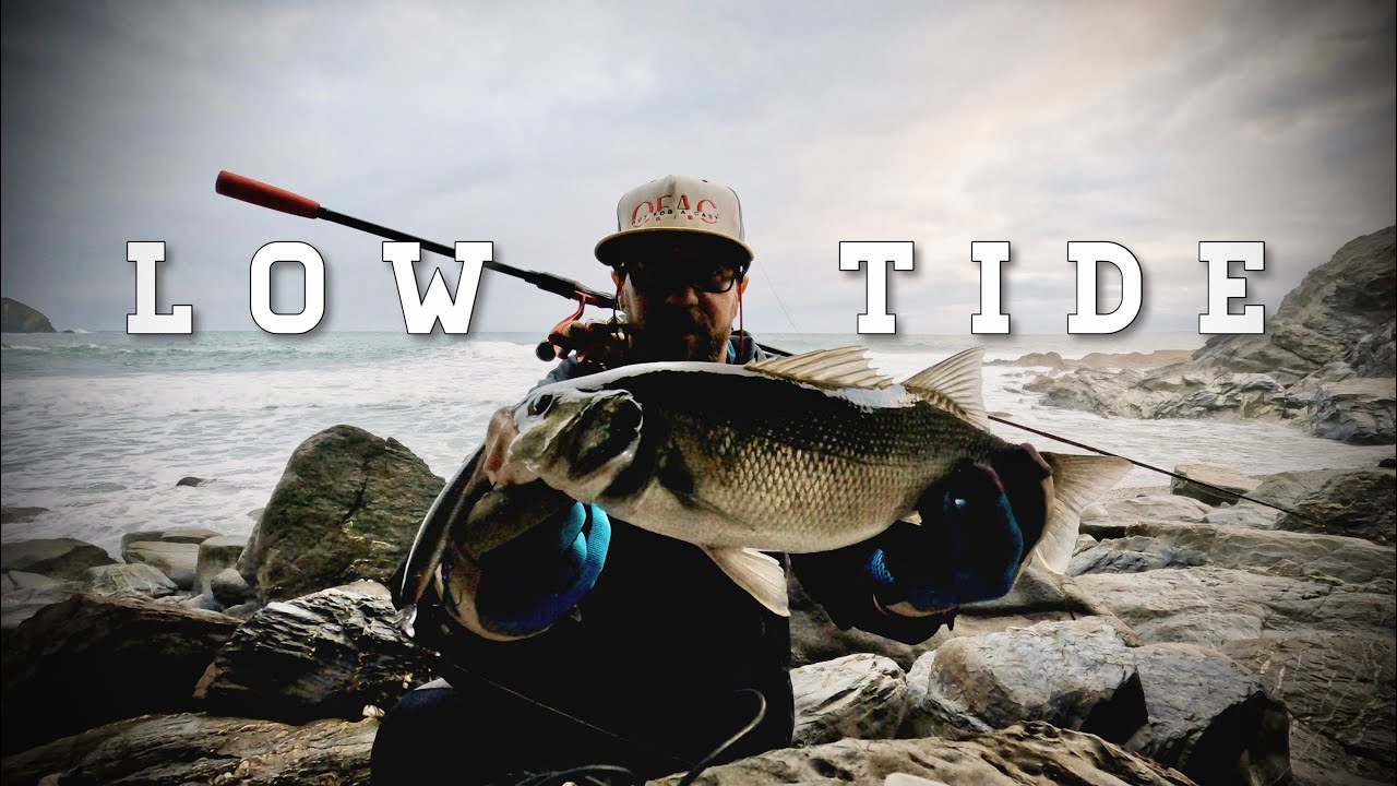 Low Tide Sea Bass Fishing | Out For A Cast #seabassfishing - YouTube