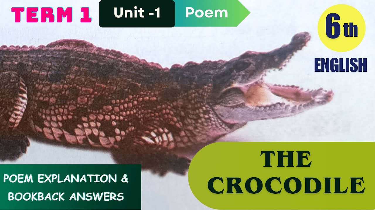 The Crocodile | Poem Explanation & Book back Answers | 6th Std English ...