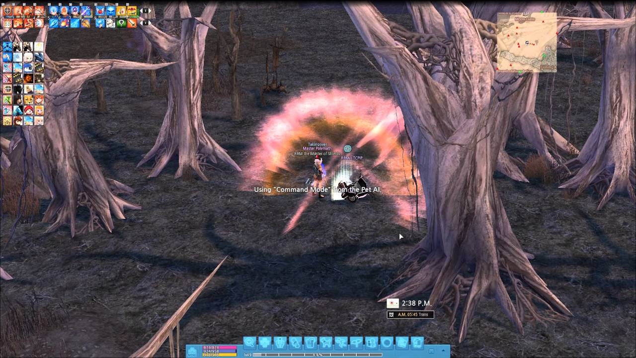 Mabinogi - Scathach Beach Playaround - YouTube