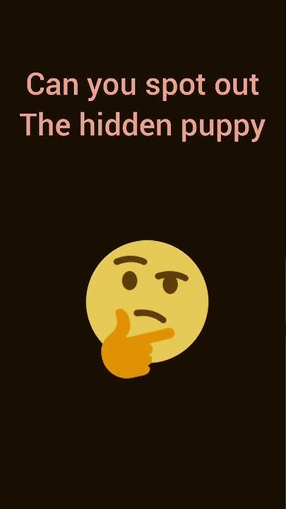 can you spot out the hidden puppy #shorts #fact #illusion - YouTube