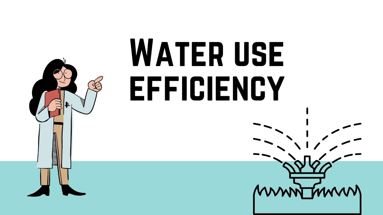 Water use efficiency (WUE) - YouTube