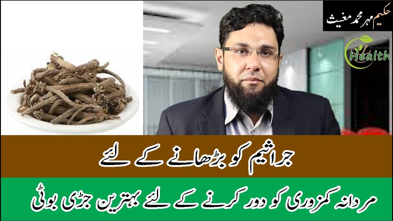 akarkara ke fayde | akarkara benefits in urdu | pure akarkara ka ...