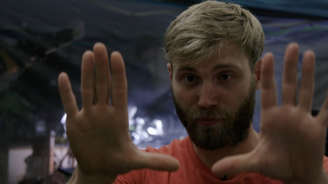 See How The "Mosquito" Film Crew Captured Extreme Closeups Of ...
