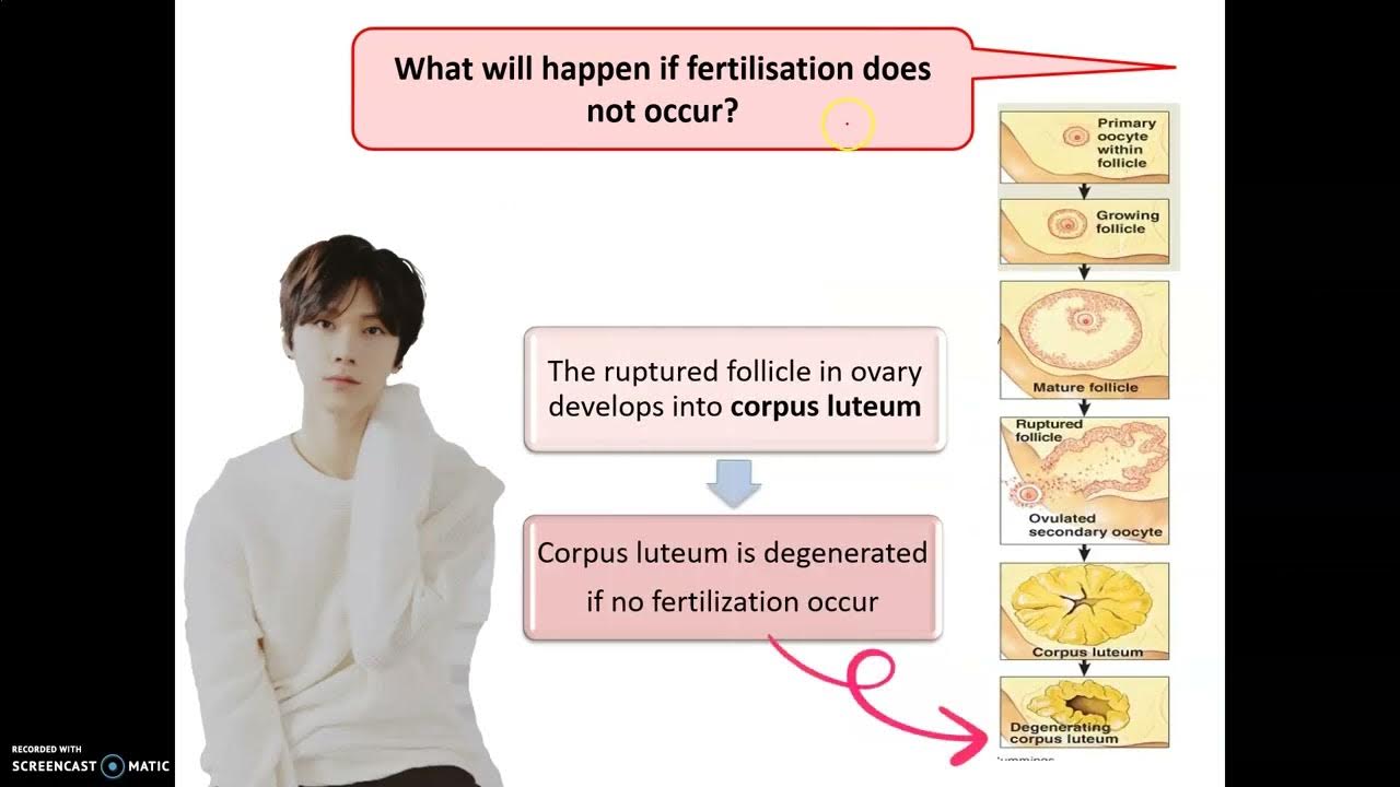 LECTURE CHAPTER 9 REPRODUCTION PART 10 - YouTube