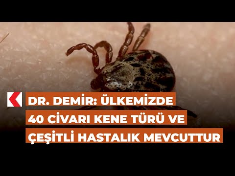 Dr. Demir: Ülkemizde 40 civarı kene türü ve çeşitli hastalık mevcuttur