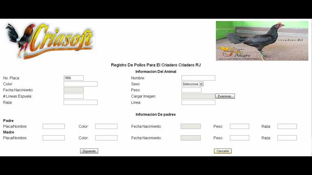 Funcionamiento CRIASOFT.avi - YouTube