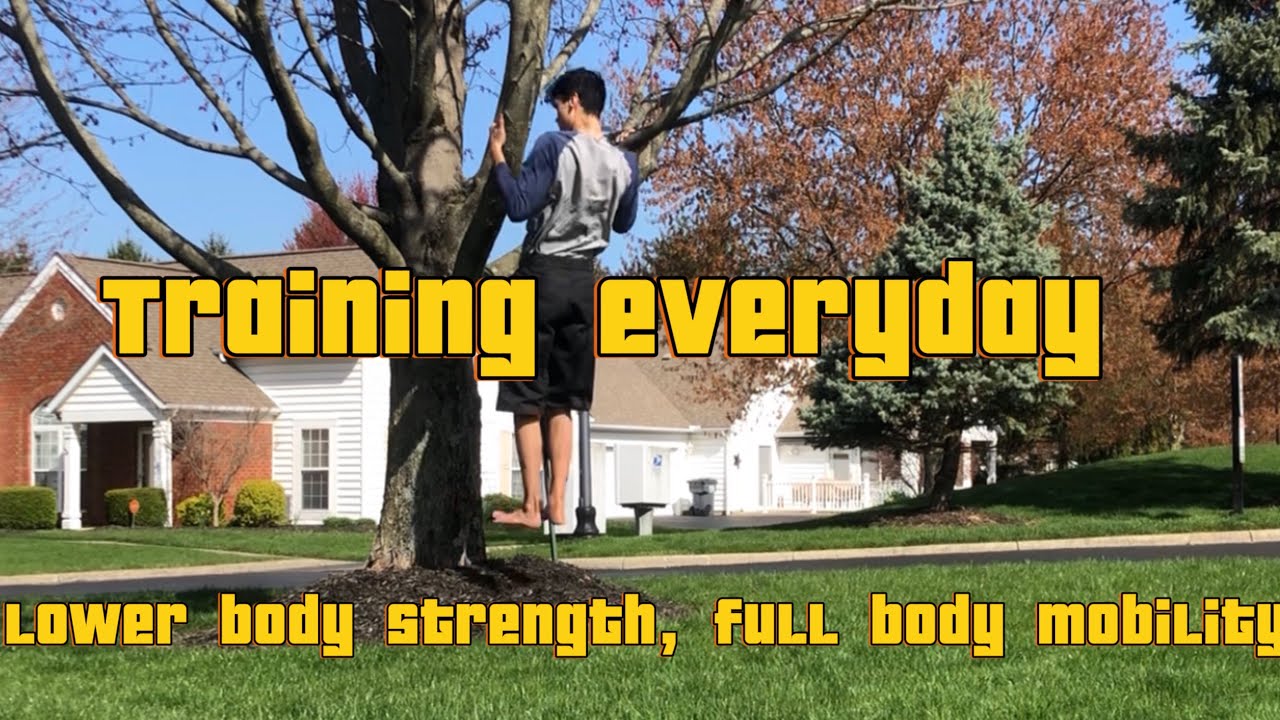 Training everyday vlog day 41- lower body strength, full body mobility ...