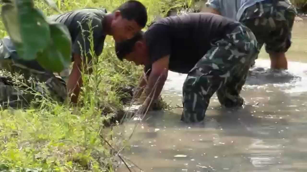 Thai men catching fish with bare hands - YouTube