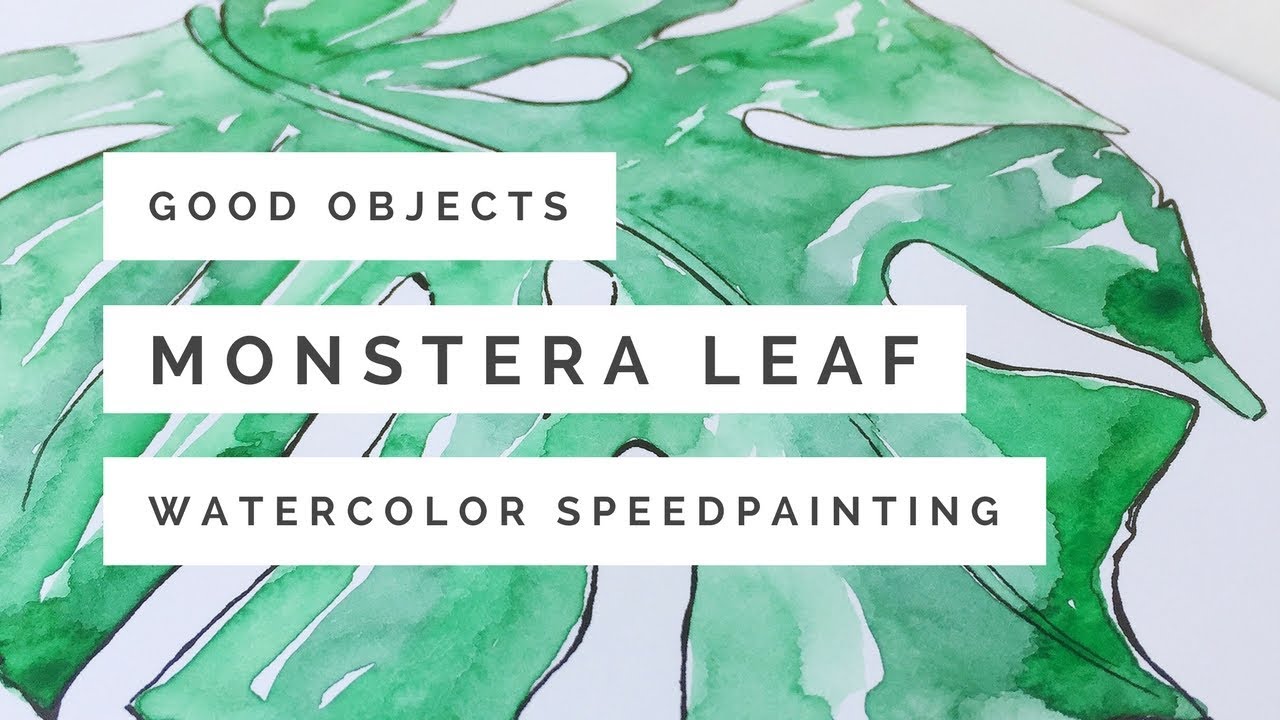 How to paint a monstera leaf with watercolors - YouTube