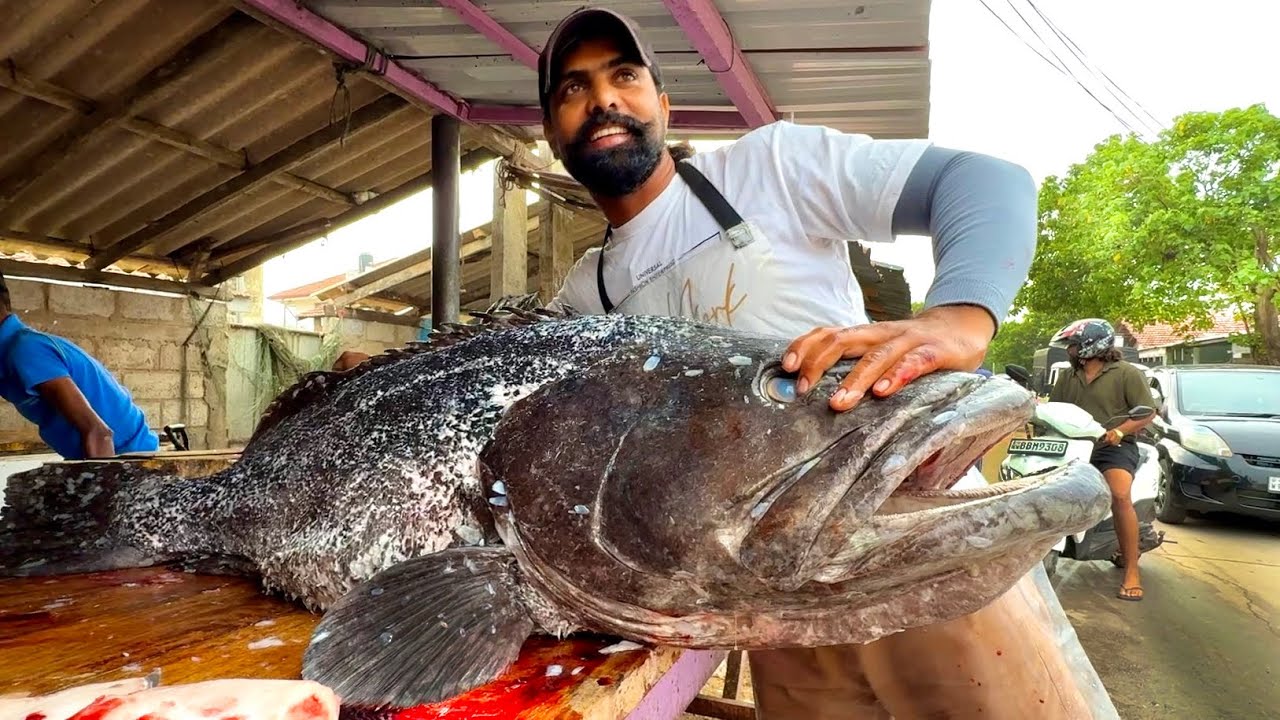 You never seen ! 75kg GIANT Goliath Grouper fish cutting in coastal ...