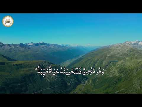 Surah Al Nahl | Daily Quran Recitation | Para 14 Page 278