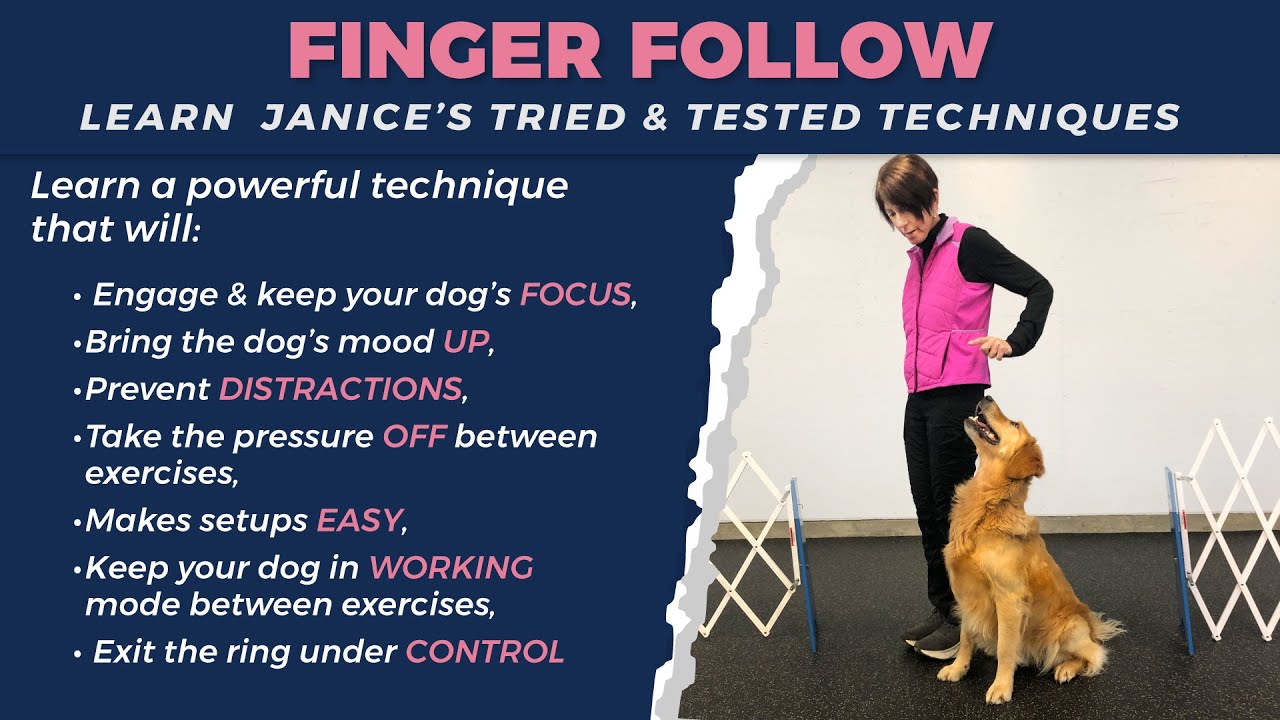 Finger Follow Video Series Promo - YouTube