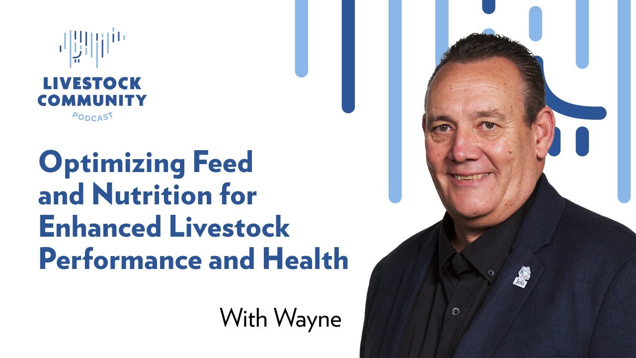 Optimizing Feed and Nutrition for Enhanced Livestock Performance and ...