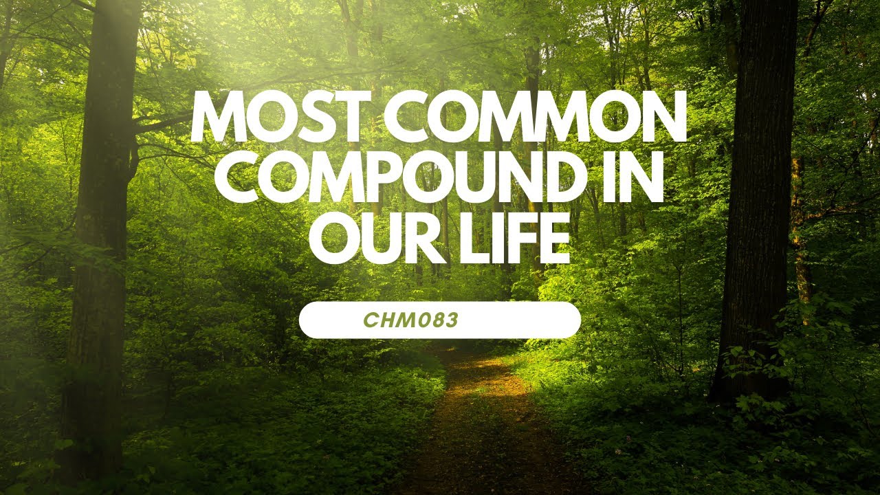 THE MOST COMMON COMPOUND IN OUR LIFE - CHEMISTRY CHM083 VIDEO - YouTube