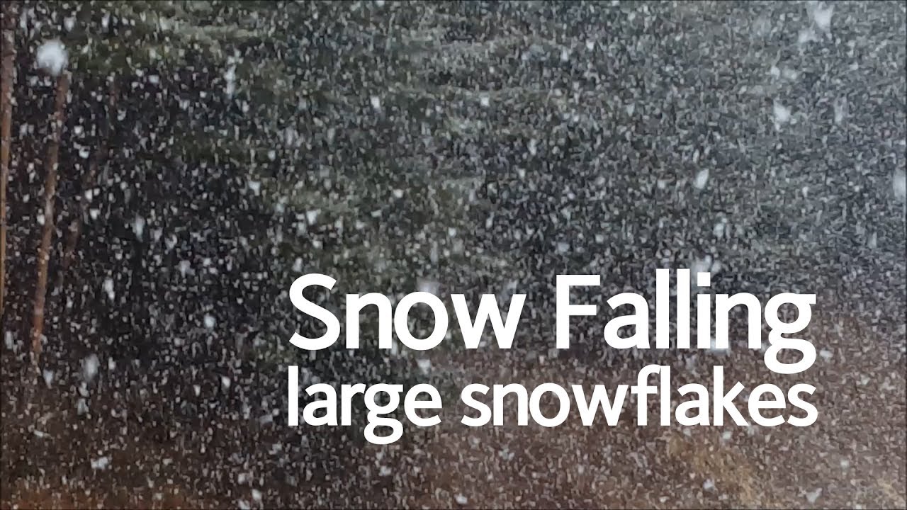 Snow, Snowfalls - Soft Music, Snow Falling, large snowflakes - YouTube