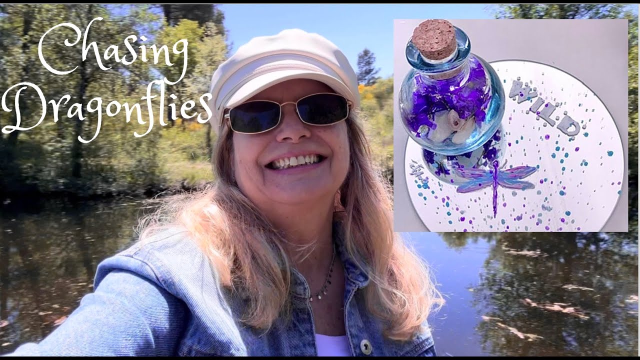 Chasing dragonflies ~ Procurando libélulas @TetêAmOArt - YouTube