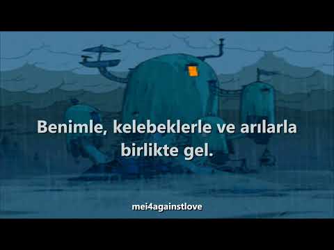 Adventure Time Theme - Island song (Türkçe çeviri)