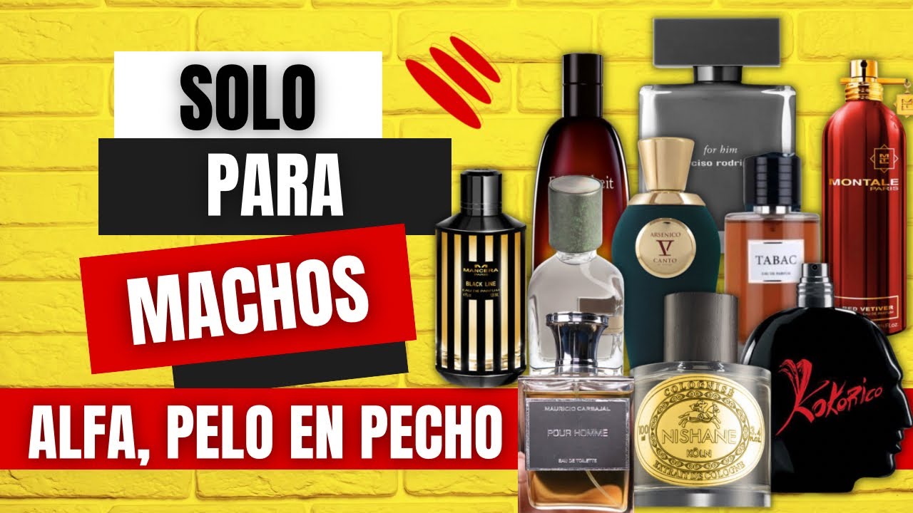 TOP 10 PERFUMES para TODO un MACHO ALFA || calidad INSUPERABLE - YouTube