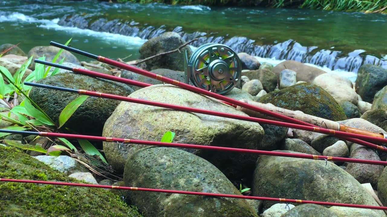 Mancing Tanago On The Micro Fly - Down The Stream - Tanago / Micro ...