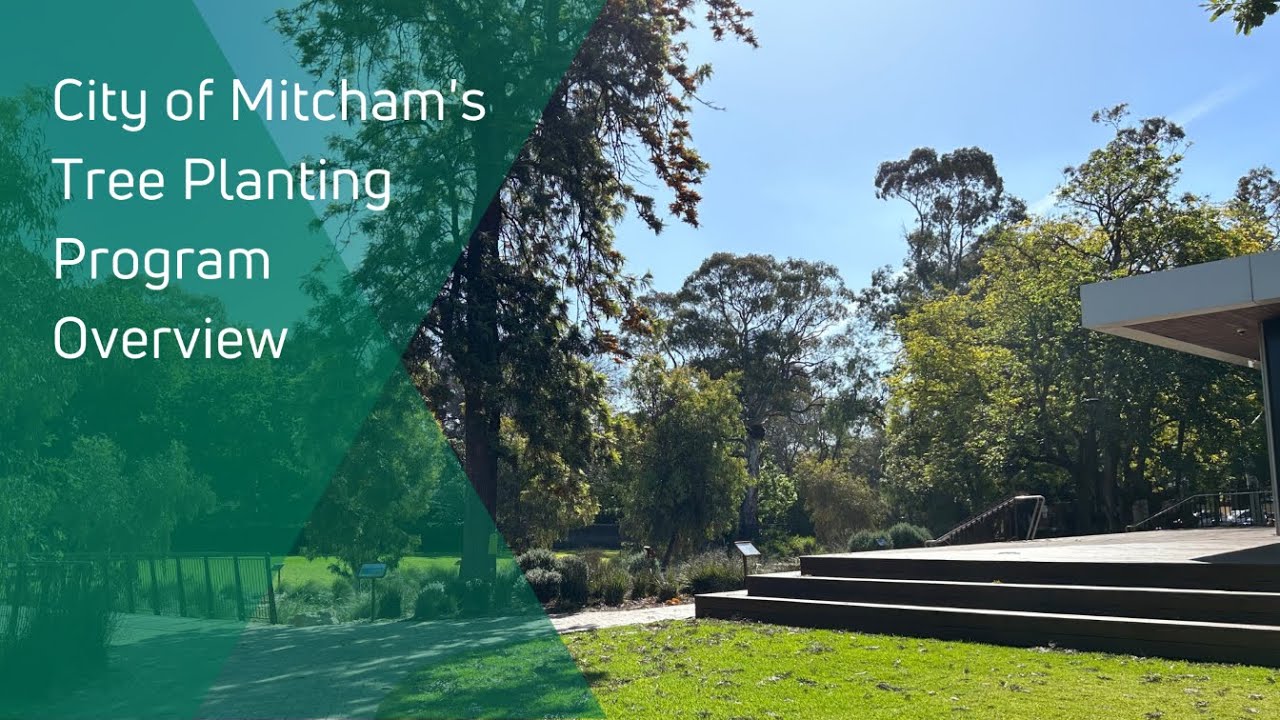 How the Mitcham Council manages its trees - YouTube