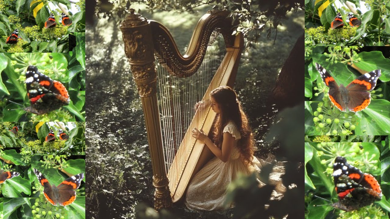 Butterfly Invasion (Harp Music) - YouTube