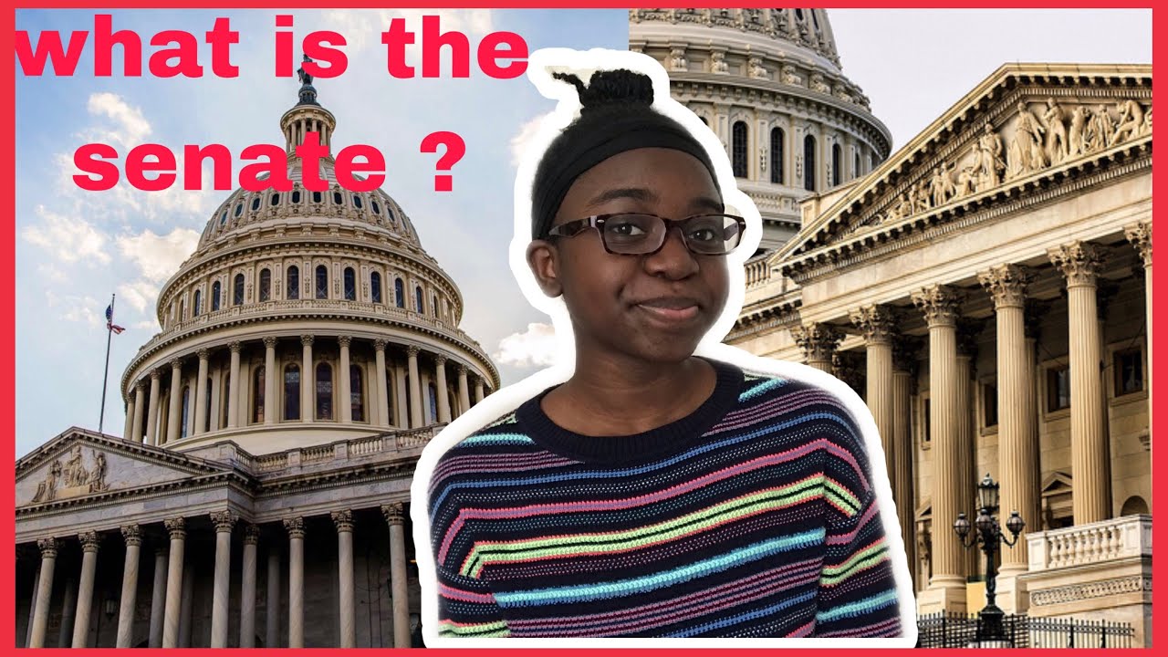 What is the senate? *educational & for kids* - YouTube